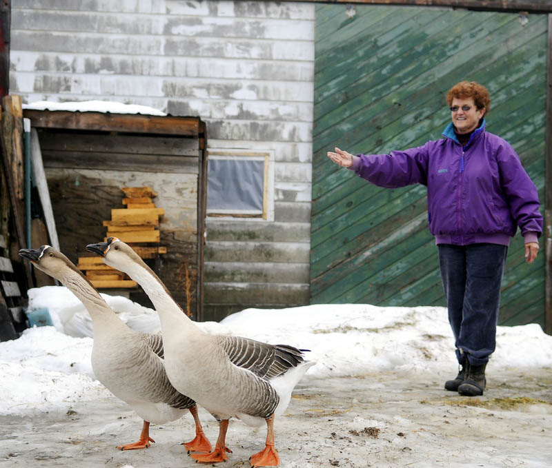 SNAPSHOT: The goose whisperer