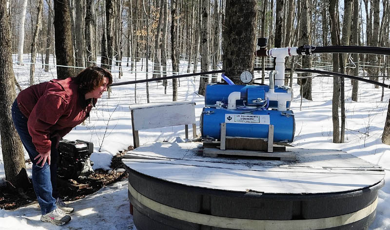 SNAPSHOT: Sap sucker