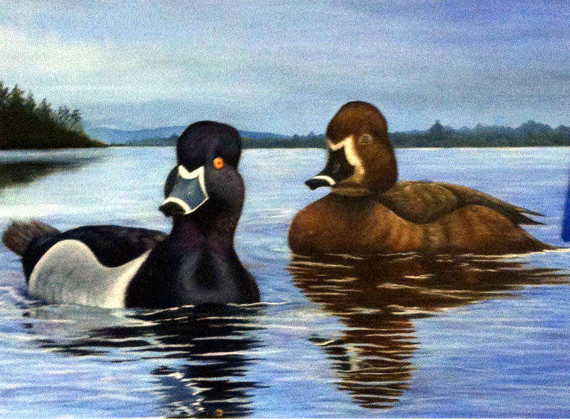 Skowhegan mother creates duck stamp contest winner