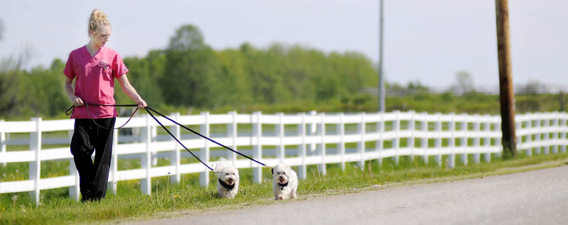 SNAPSHOT: Maltese walking