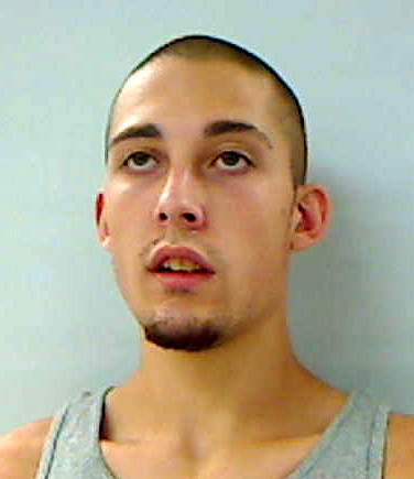 W. Gardiner drug theft suspect stabs police dog