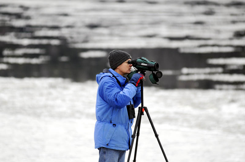 SNAPSHOT: Bird watcher