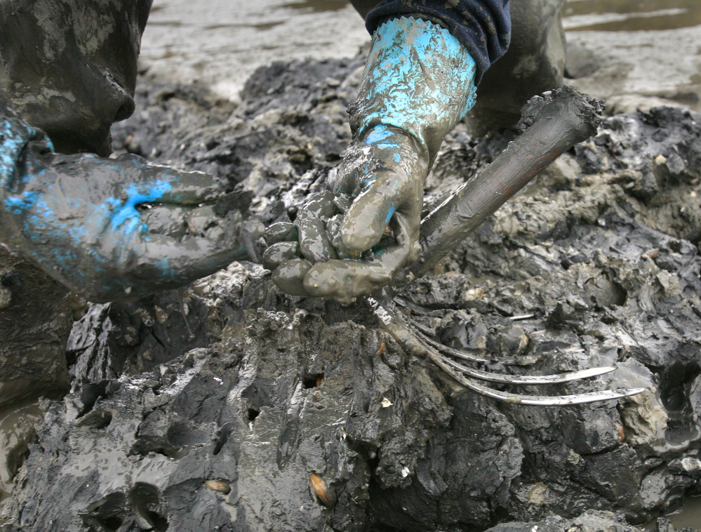 Maine clam diggers, worm harvesters square off over mud flats