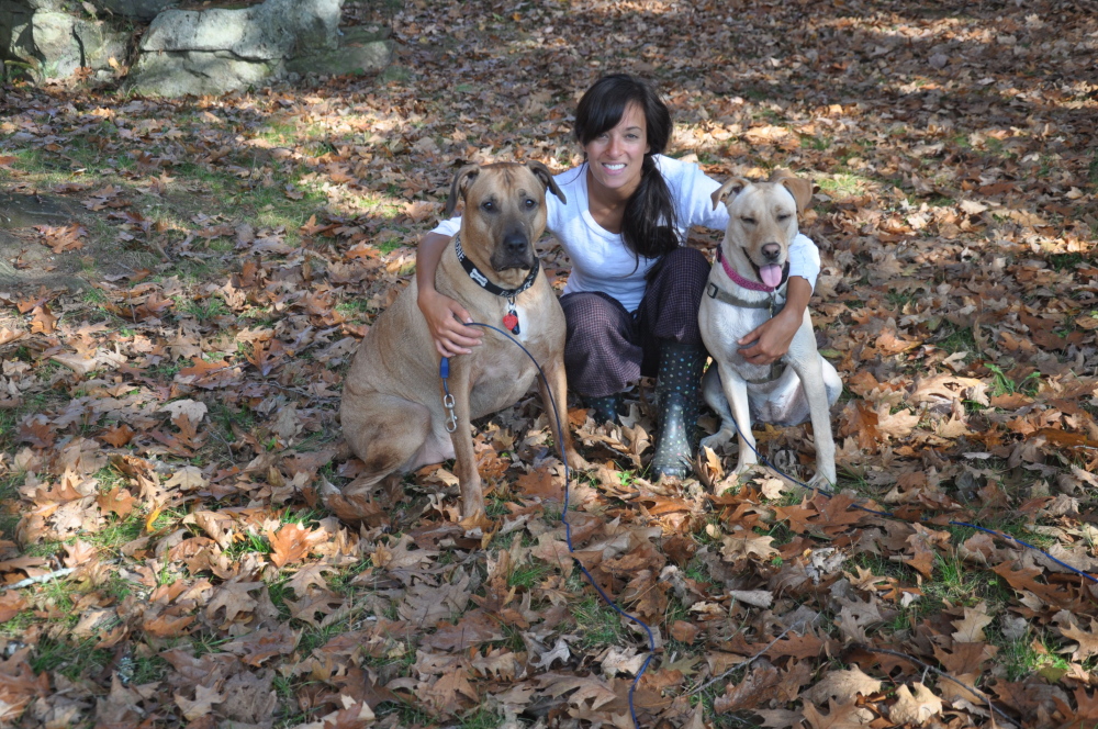 Amy Buxton Pet Pantry to open April 12 in Augusta