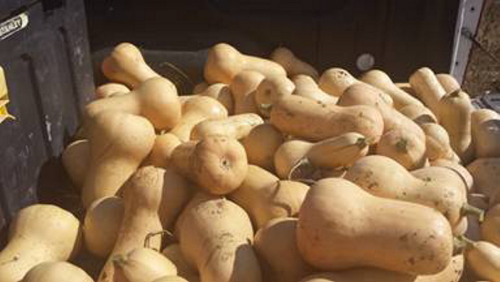 Partnership takes food on journey from farms to school tables