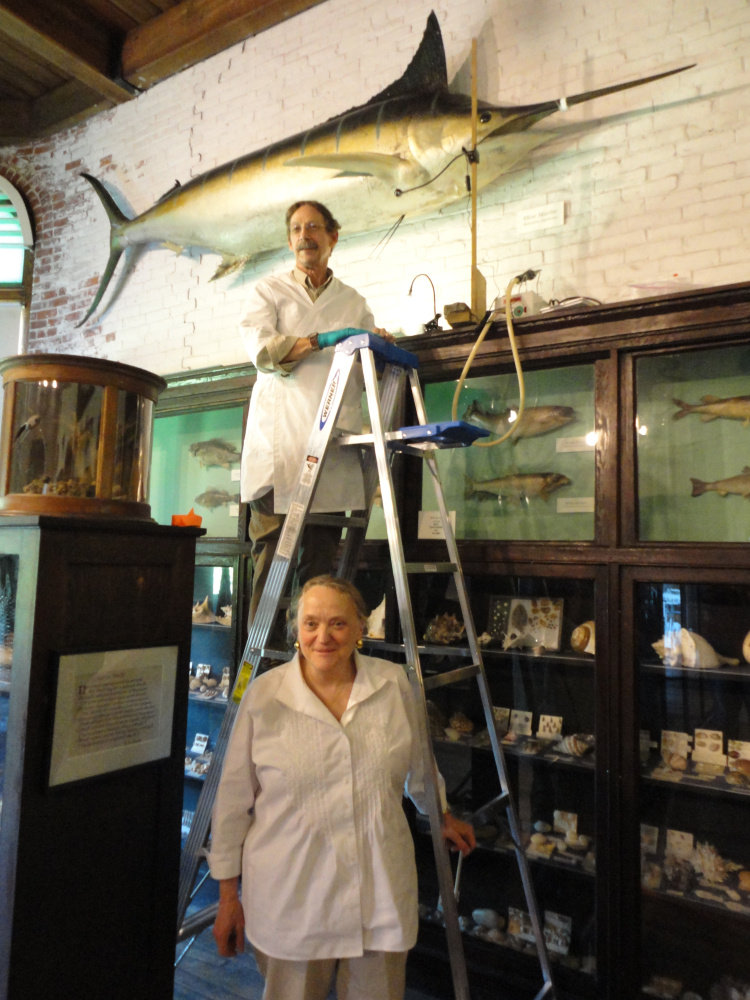 Hemingway topic of L.C.Bates Museum events