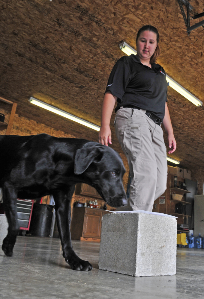 Readfield-based detection dogs sniff out bedbugs, explosives, drugs