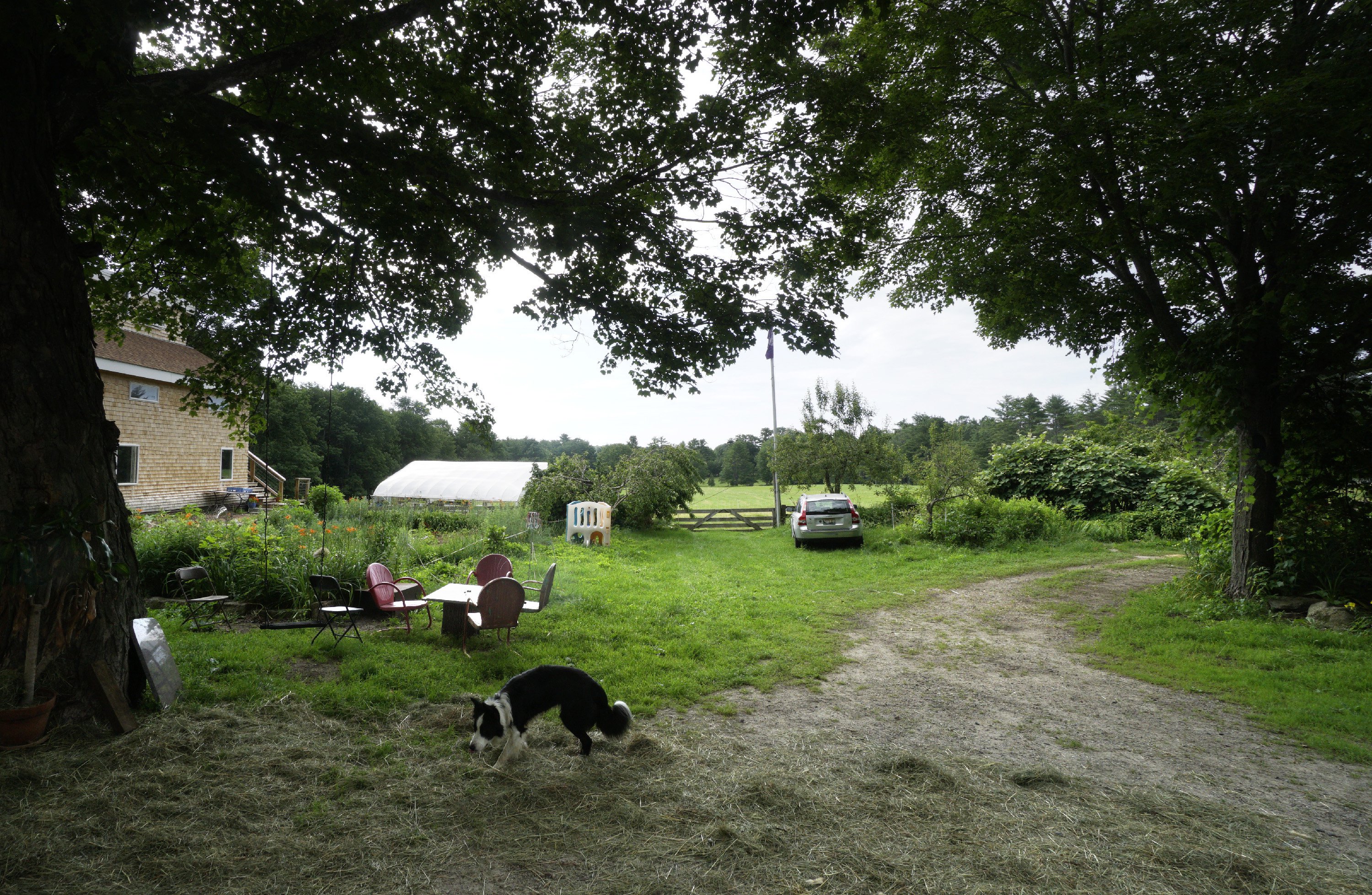 Springvale Farm Walk - Kennebec Journal and Morning Sentinel