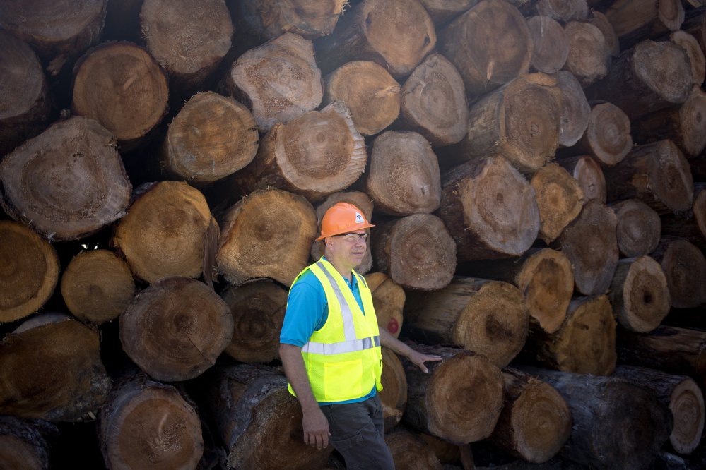 Stung by setbacks, wood suppliers seek new markets and products to survive