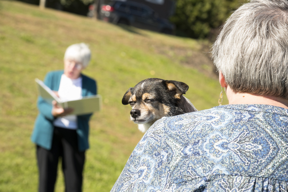 30-year-old bird joins cats, dogs in blessing at Hallowell waterfront