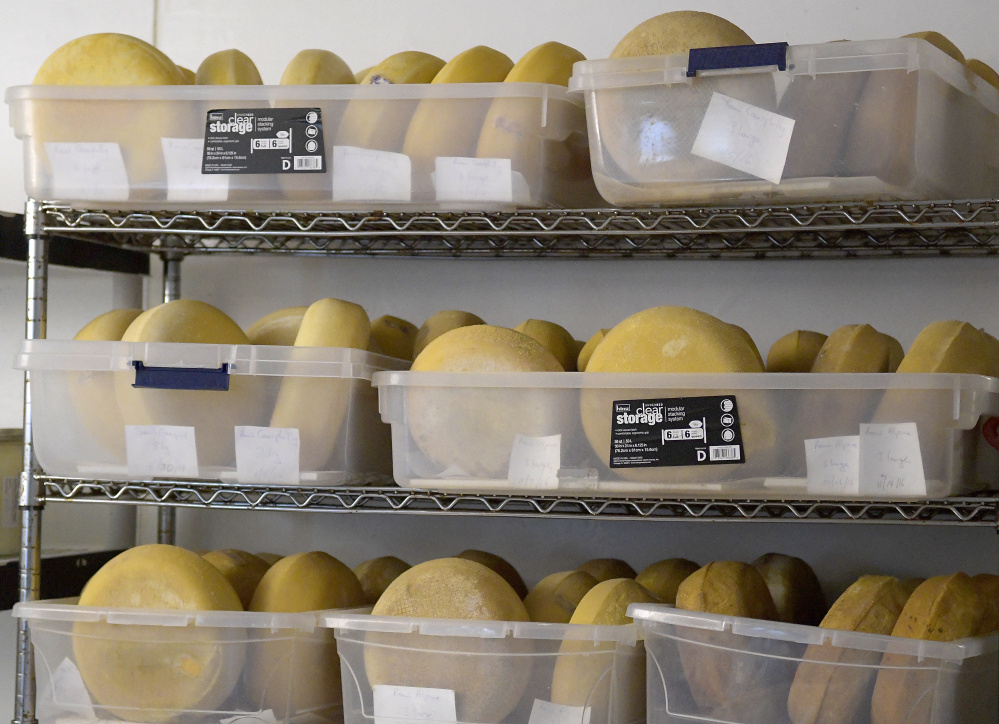 Goats headline open house at Kennebec Cheesery