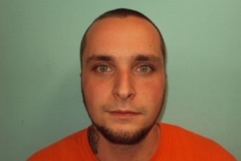 Man leaves his family in car in Farmington, tries to escape deputy