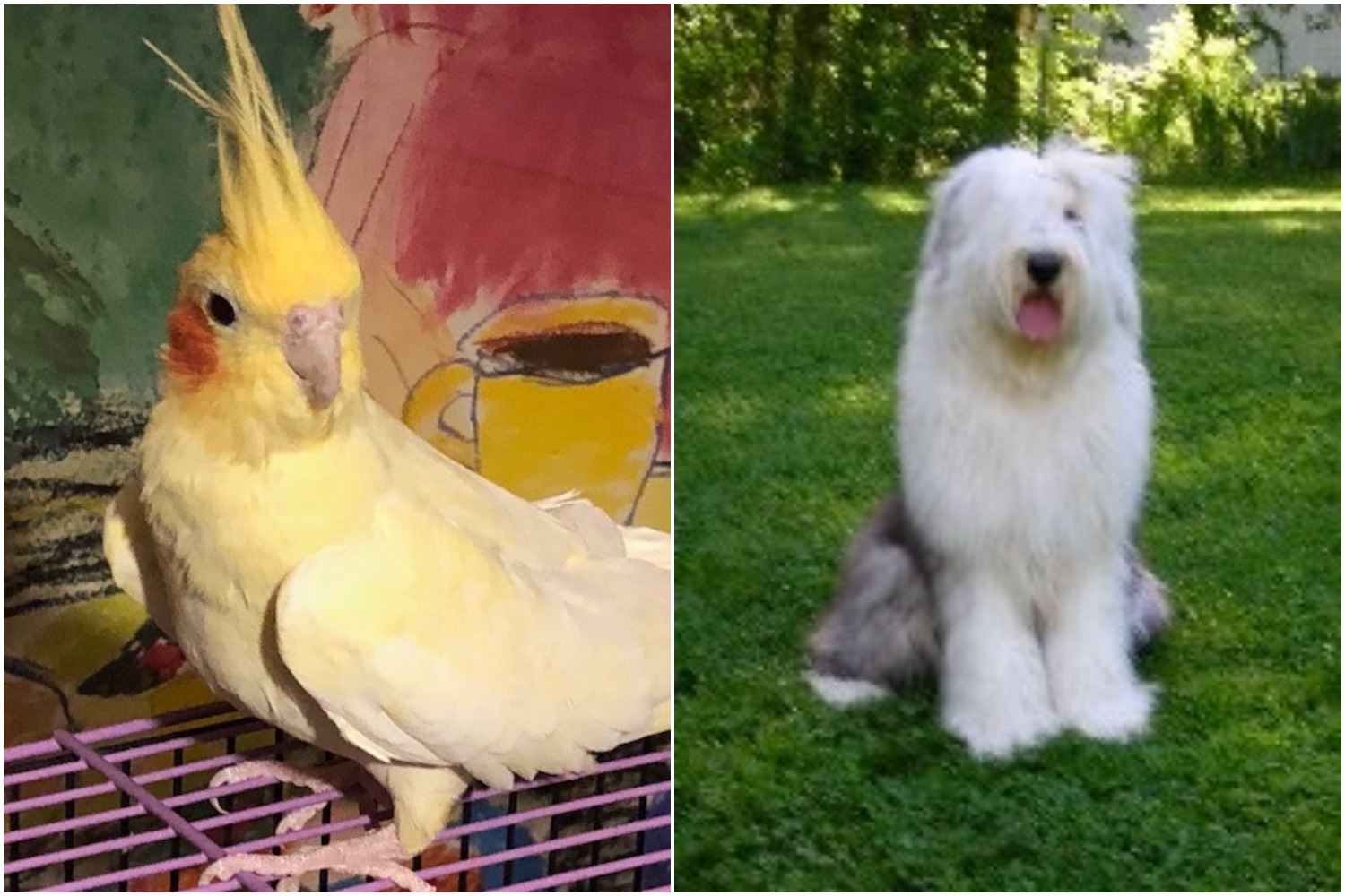 J.P. Devine: Ms. Kramer and Jack — a love story