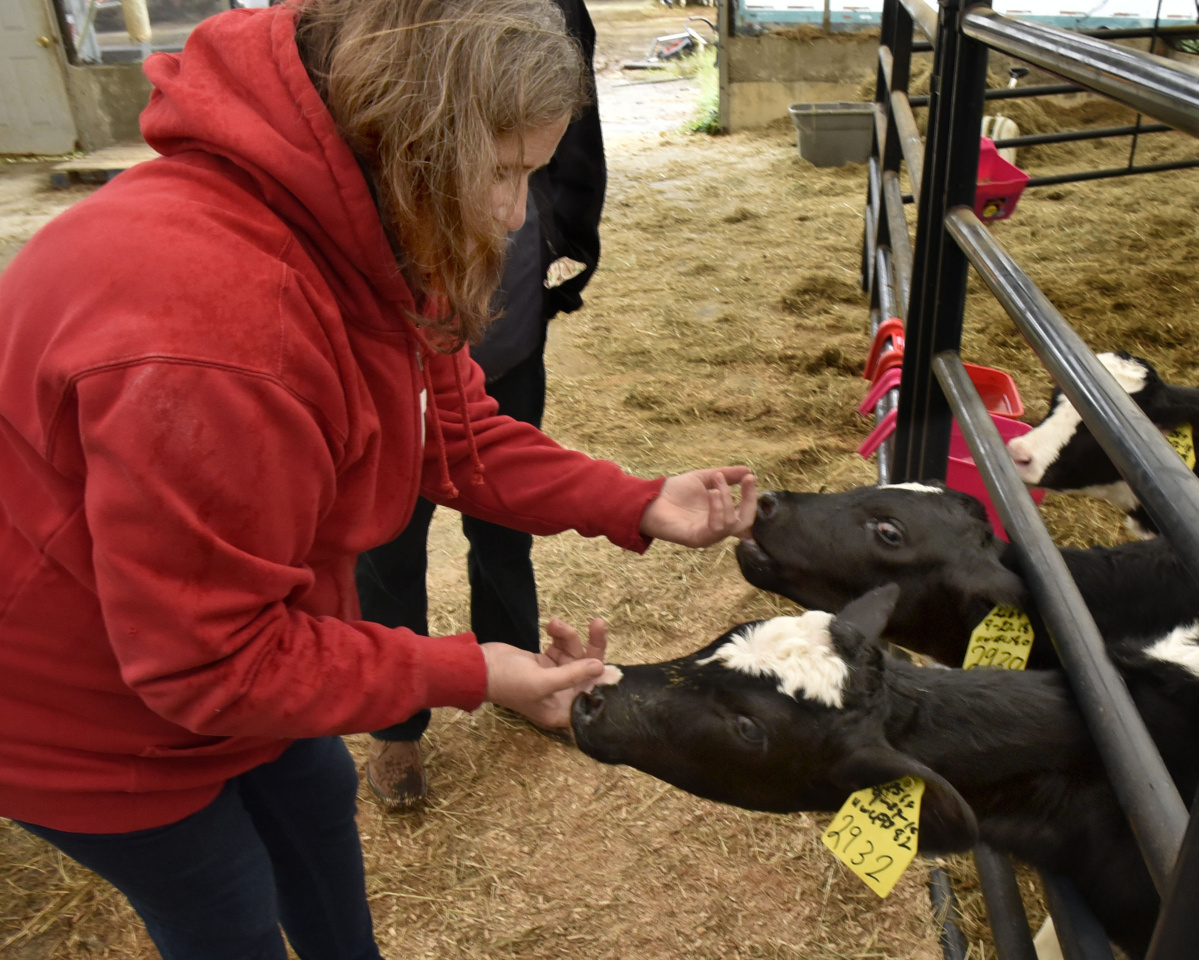 Hilton Farms in Norridgewock wins Green Pastures Award