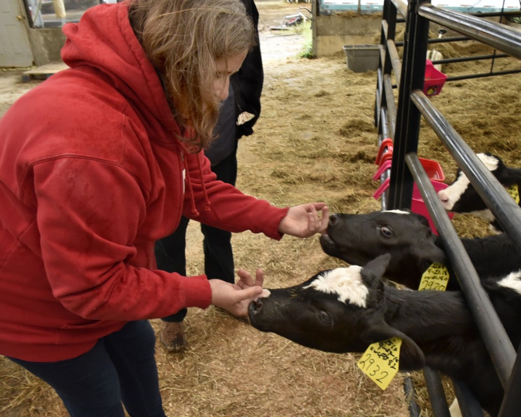 Hilton Farms in Norridgewock wins Green Pastures Award