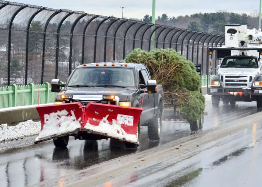See photos of Augusta holiday tree going up