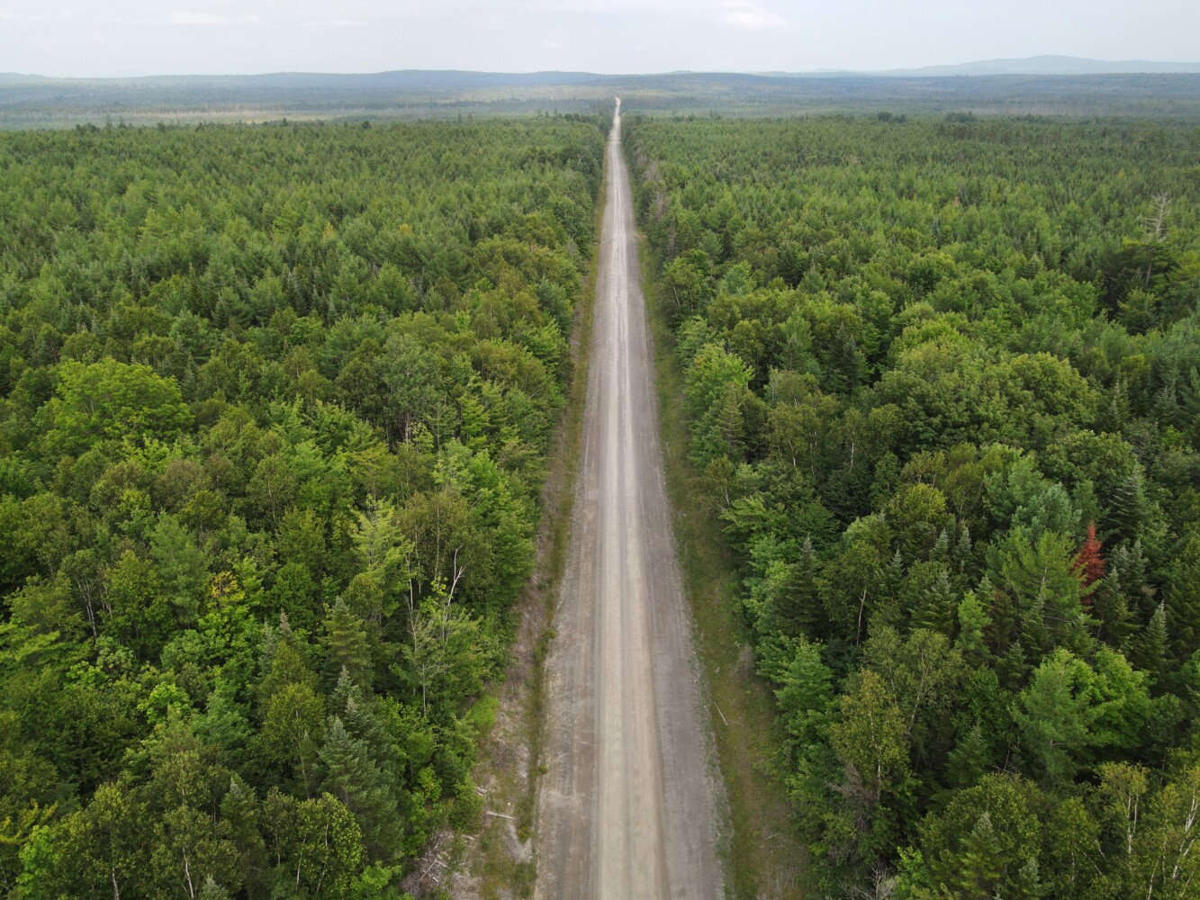 ‘Loving the North Woods’ is a strong, triumphant account | Letter