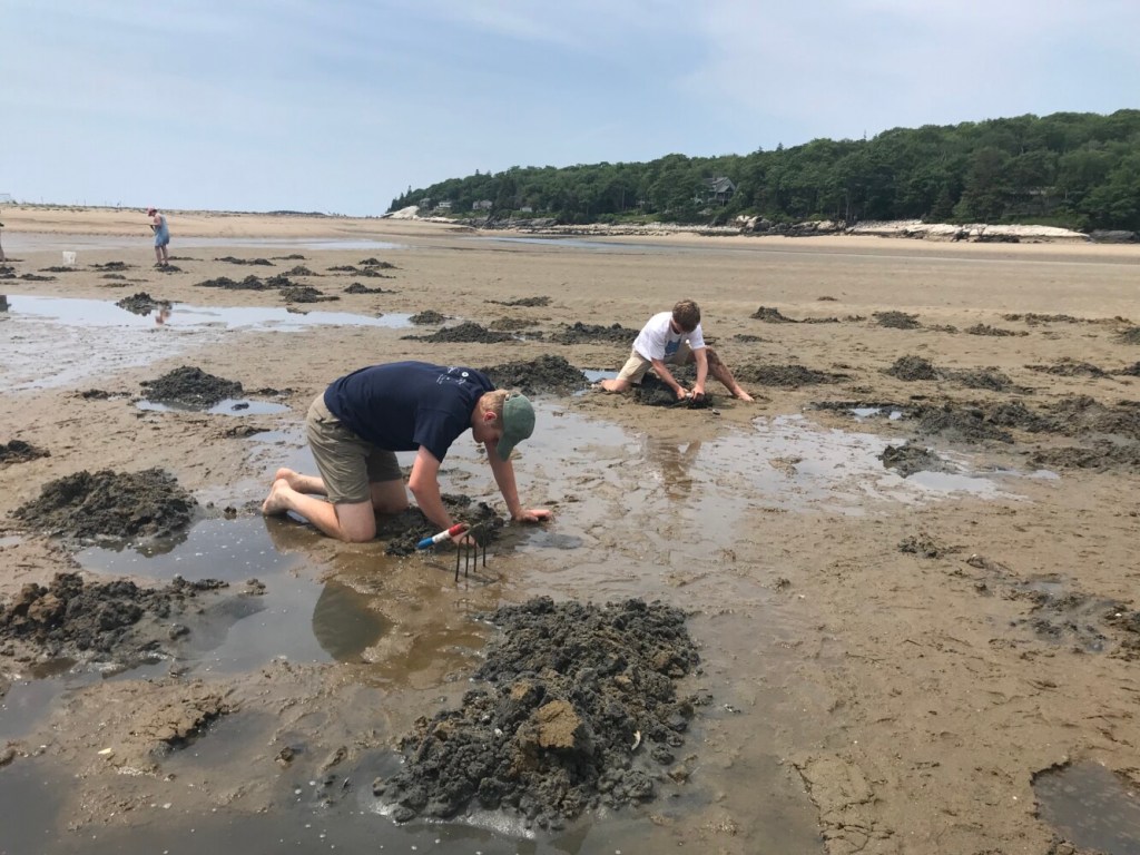 Land trust to offer softshell clam digging event