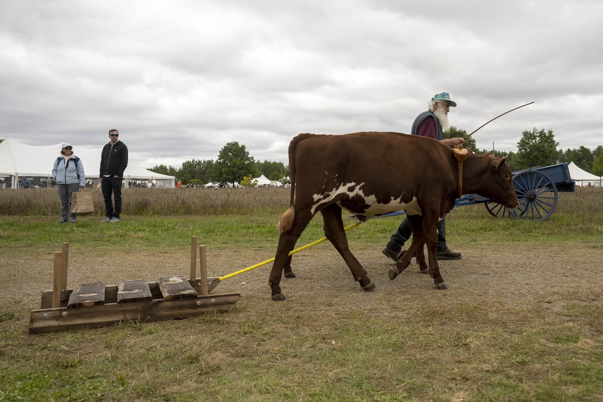 Common Ground Country Fair, a celebration of rural living, returns to Unity