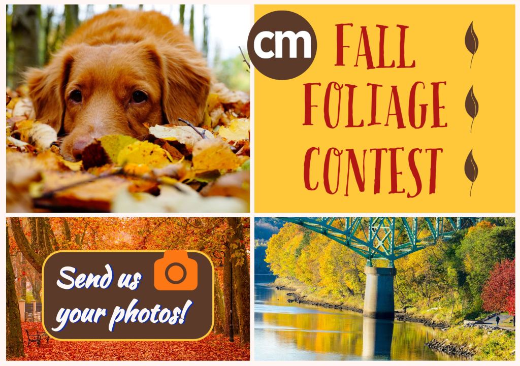 Fall Foliage Photo Contest