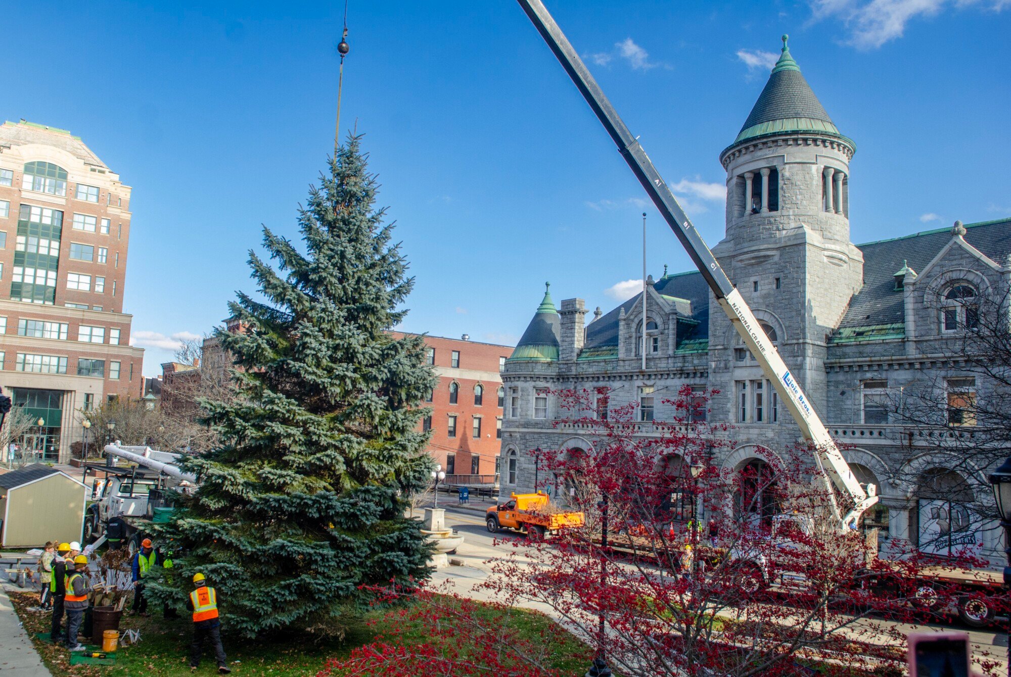 Photos: Augusta holiday tree arrives in Mill Park