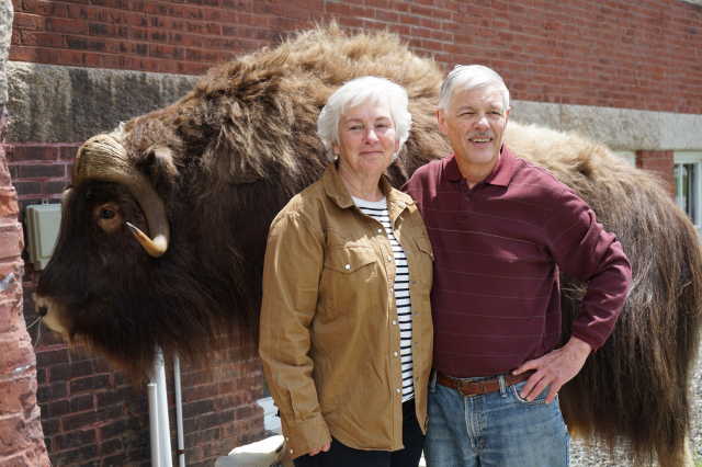 Musk oven mount donated to L. C. Bates Museum