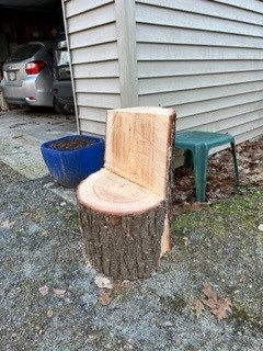 Carol Thibodeau tree chair gallery - Kennebec Journal and Morning Sentinel