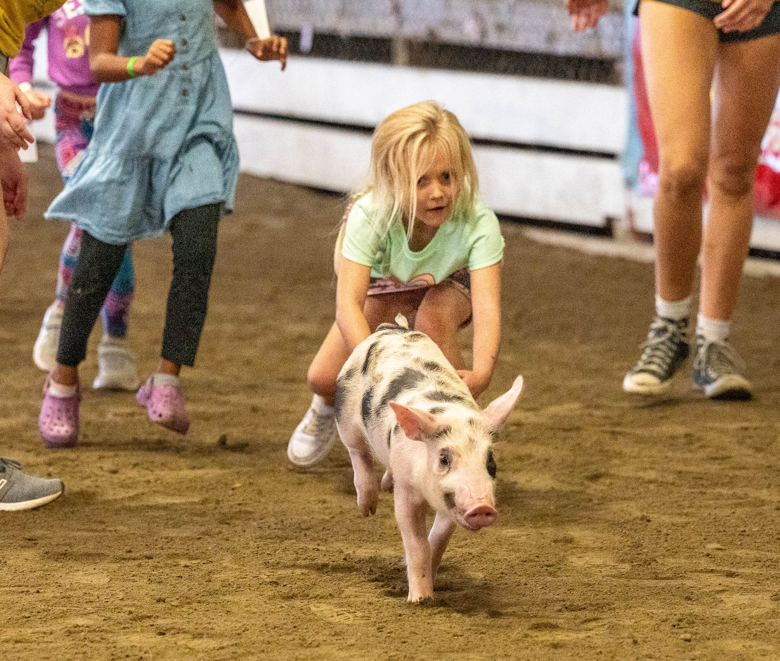 It’s fall fair season in Maine. Here are the 8 you shouldn’t miss.