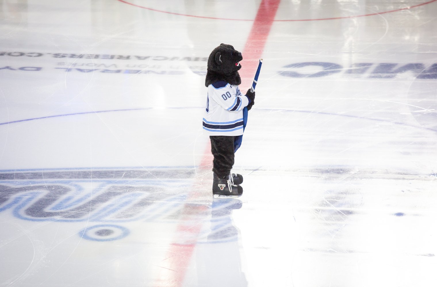 Bananas the Bear at center of controversy? UMaine mascot has ...