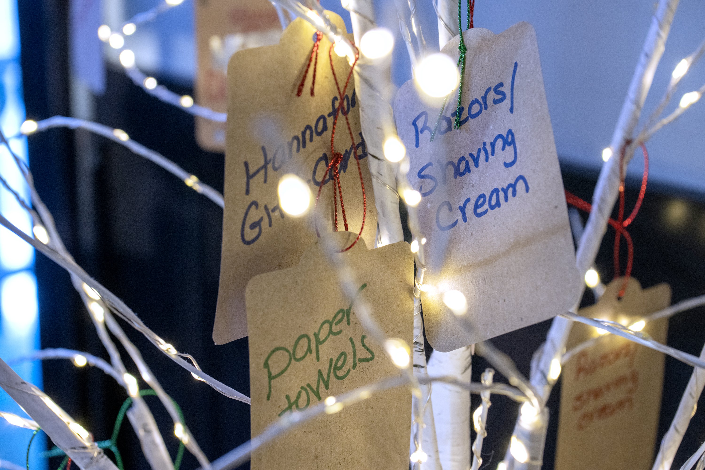 ‘Giving trees’ in Maine reflect heightened need for household essentials