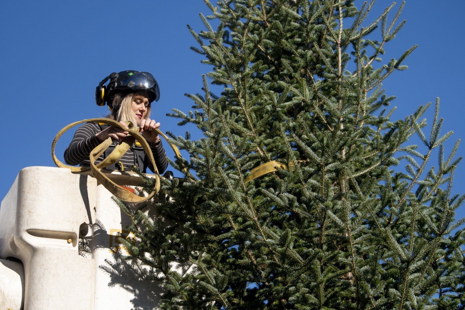 Augusta Holiday Tree 2021 - Kennebec Journal and Morning Sentinel