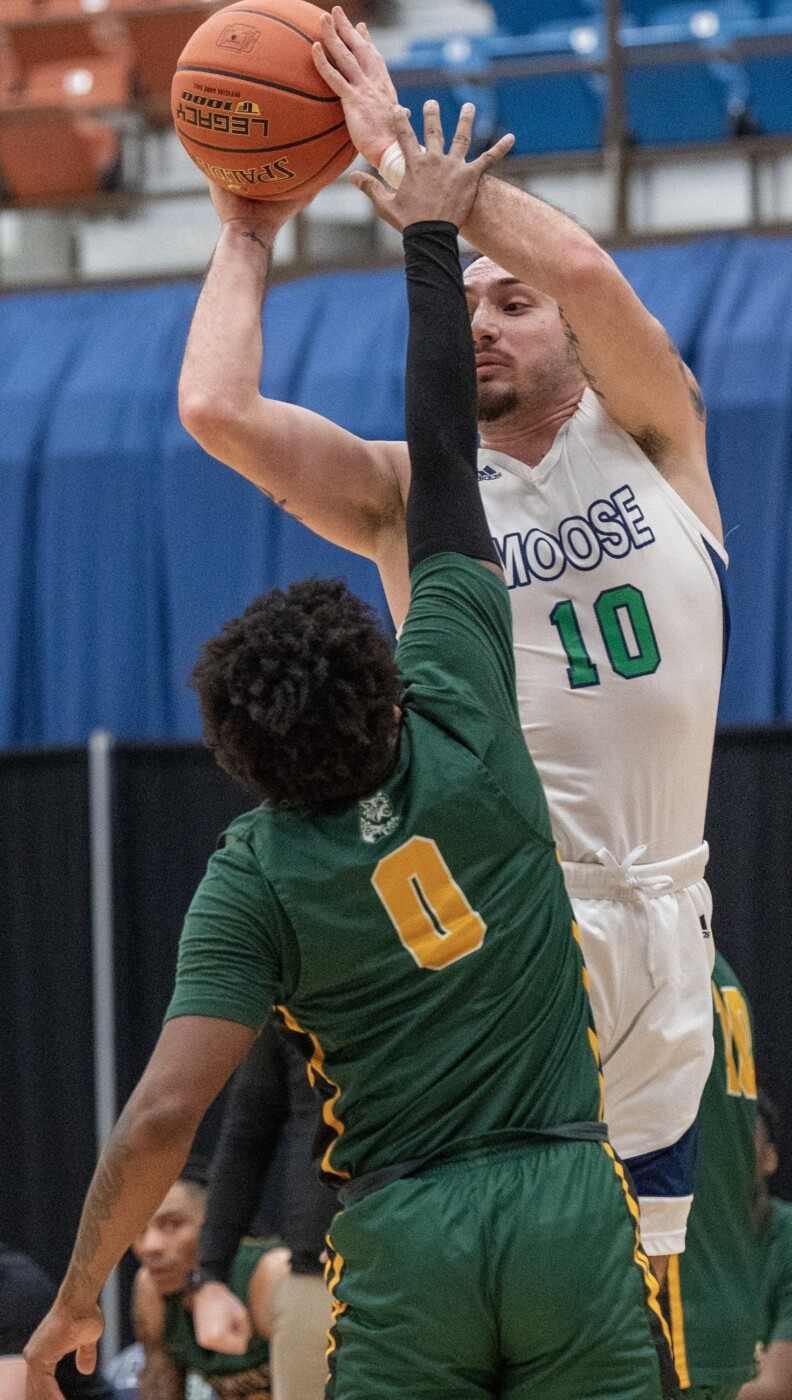 Gallery: UMAmoose - Kennebec Journal and Morning Sentinel