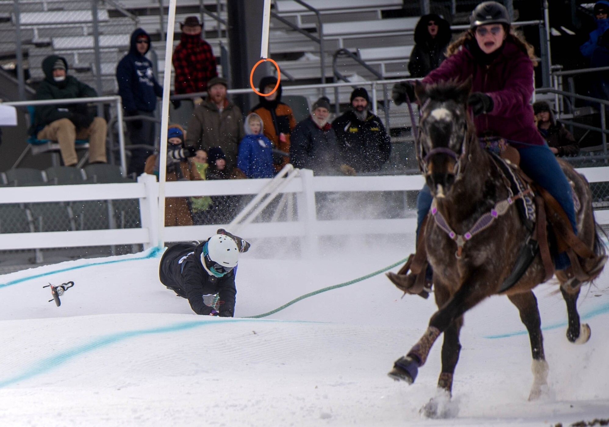 Skijor Skowhegan races return for fifth year, draw fans from across the ...