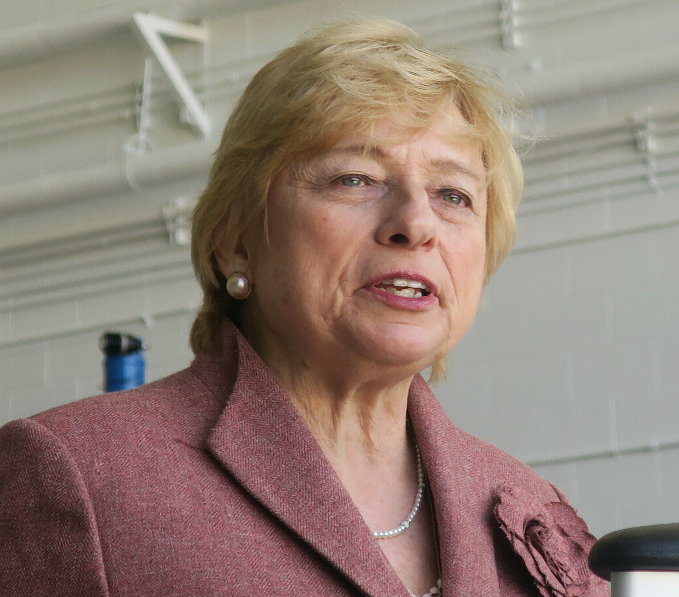 Video: Gov. Janet Mills, author Shannon Mullen discuss book on pandemic ...